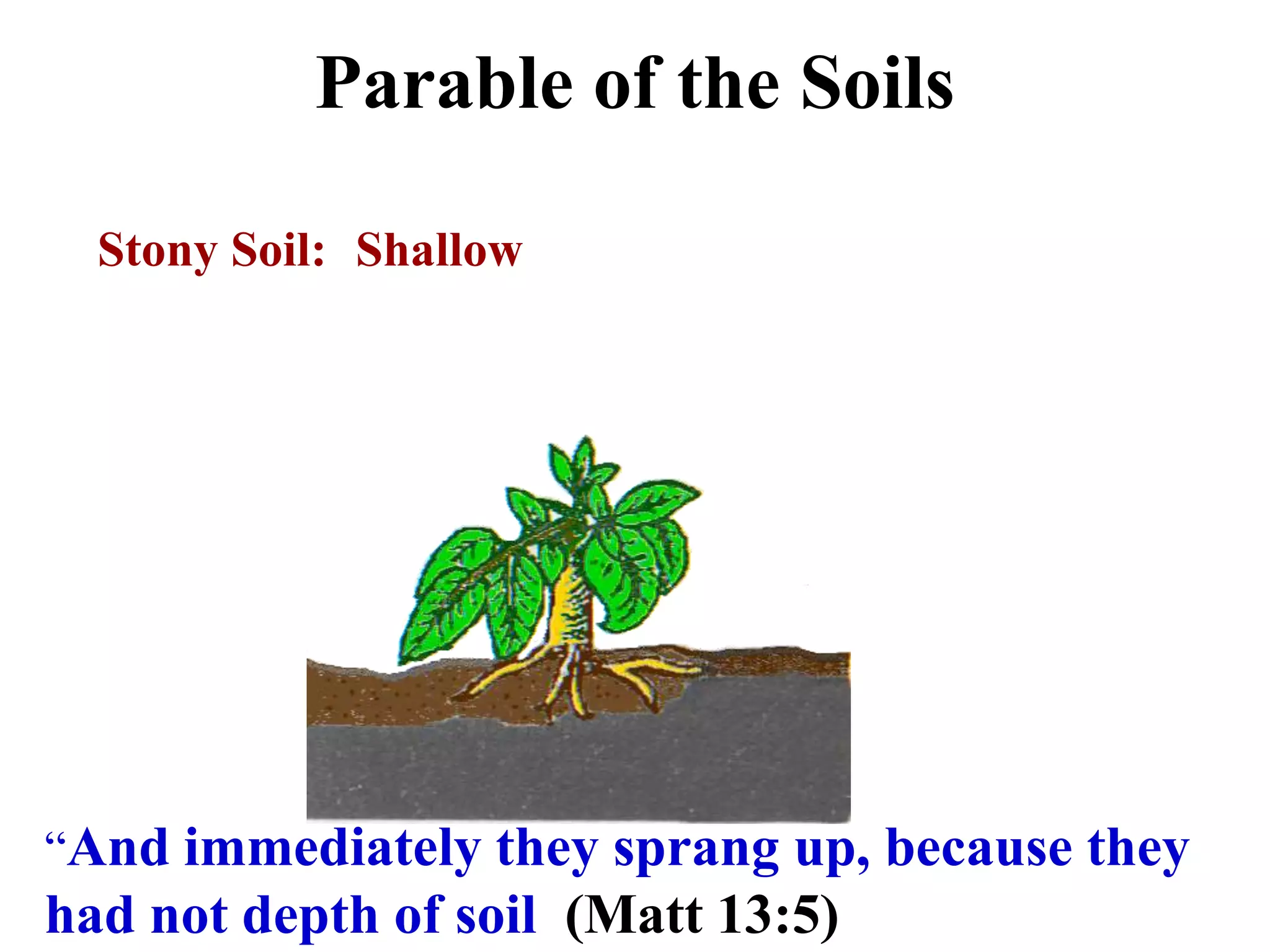Parable of the Soils.ppt