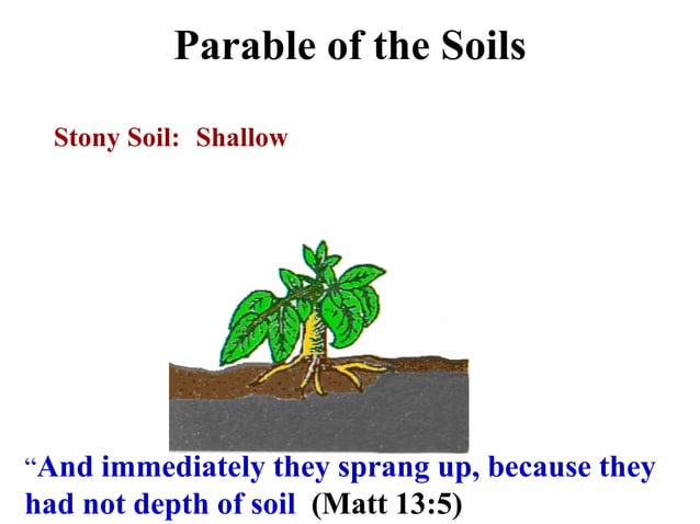 Parable of the Soils.ppt | Christianity | Religion & Spirituality