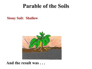 Parable of the Soils.ppt