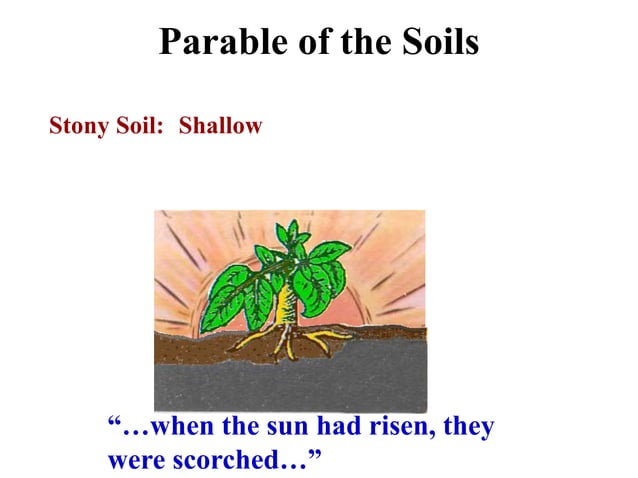 Parable of the Soils.ppt | Christianity | Religion & Spirituality