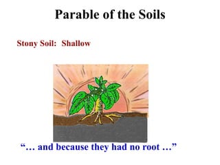 Parable of the Soils.ppt