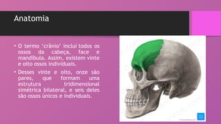 Aula de Anatomia-de-Cabeca-e-Pescoco-1-1.pptx