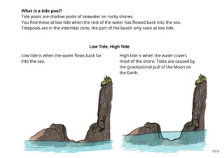 Whoop, Goes the Pufferfish | PDF