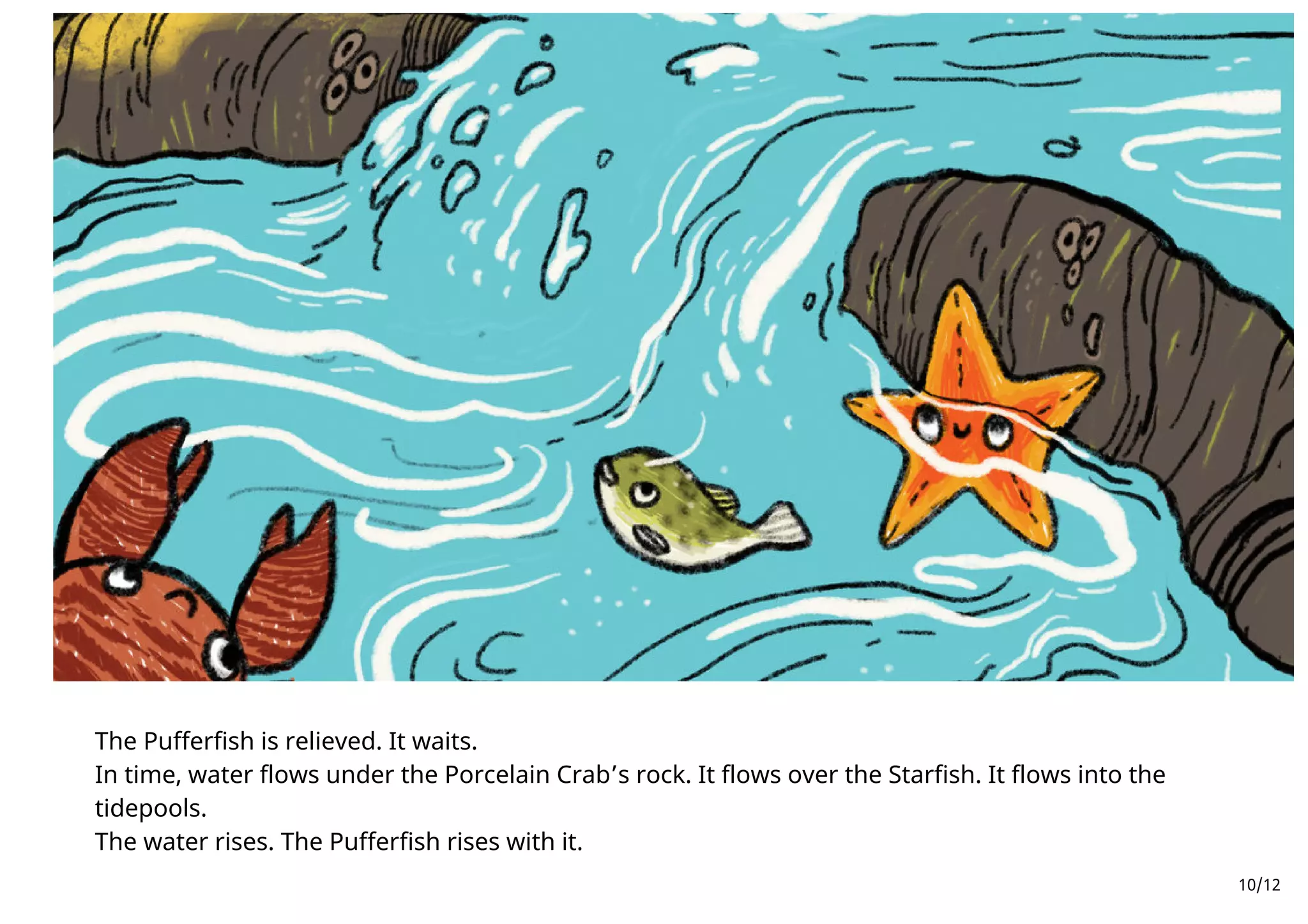 60744 whoop-goes-the-pufferfish | PPT