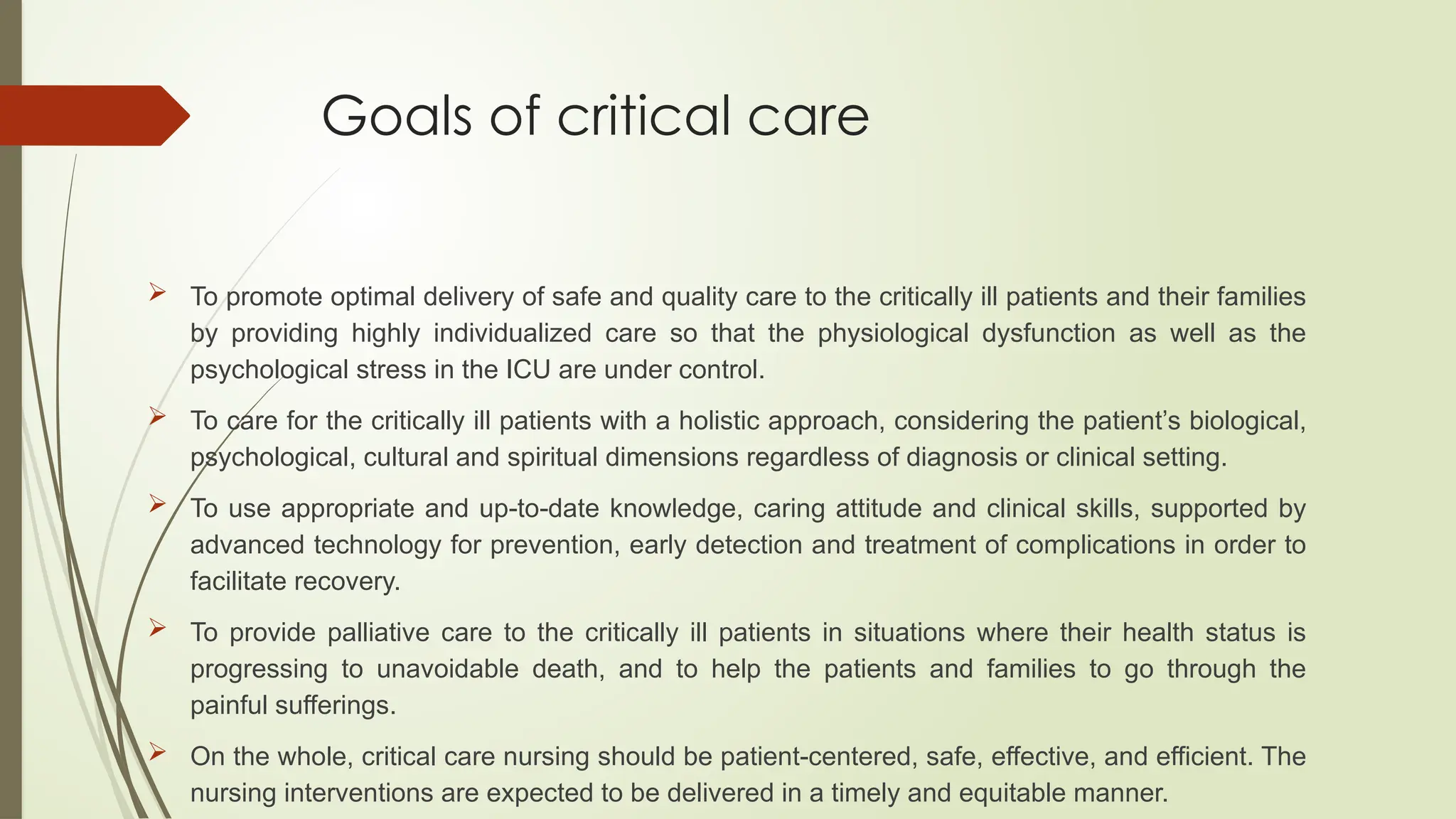 607842993-Critical-Care npcc roles and responsibilities .pptx