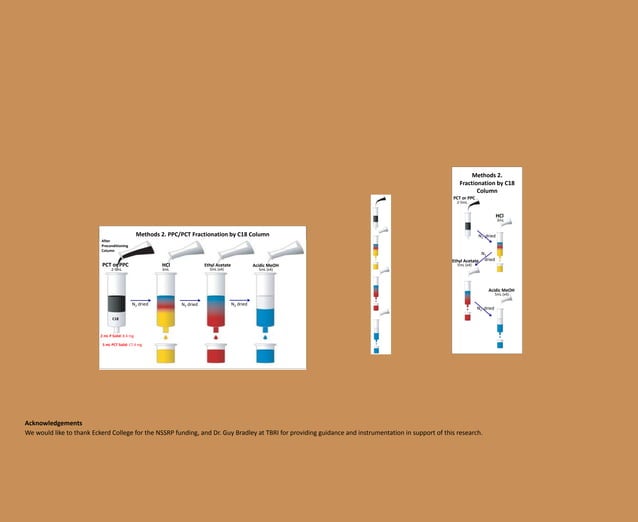 ChindavongPoster_pbm | PPT