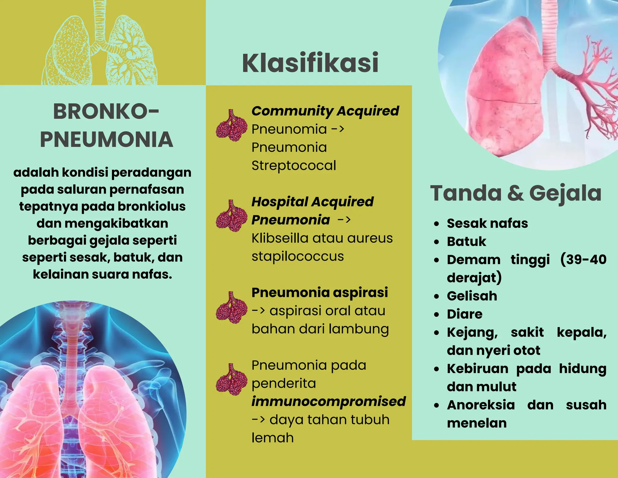 LEAFLET BRONKOPNEUMONIA PADA DEWASAA.pdf