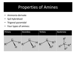 IndividualPresentation | PPT