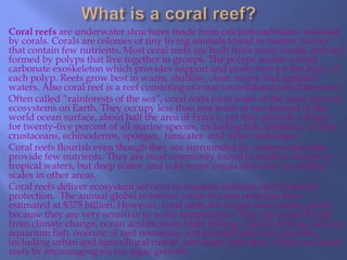 6 08 collaborative project coral reef ecosystem | PPTX