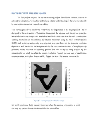Final Internship Report | PDF