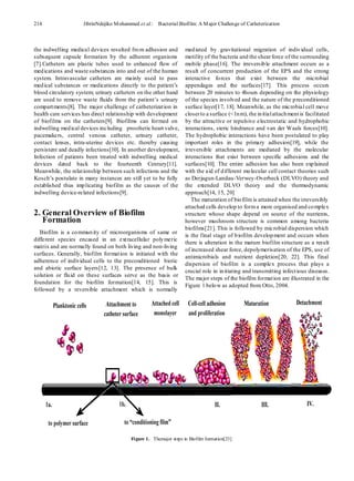 Bacterial Biofilm: A Major Challenge of Catheterization | PDF