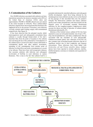 Bacterial Biofilm: A Major Challenge of Catheterization | PDF