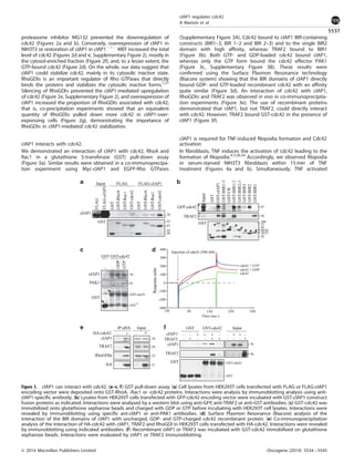 2014 - cIAP1 regulates TNF-mediated cdc42 activation and filopodia ...