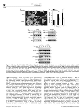 2014 - cIAP1 regulates TNF-mediated cdc42 activation and filopodia ...