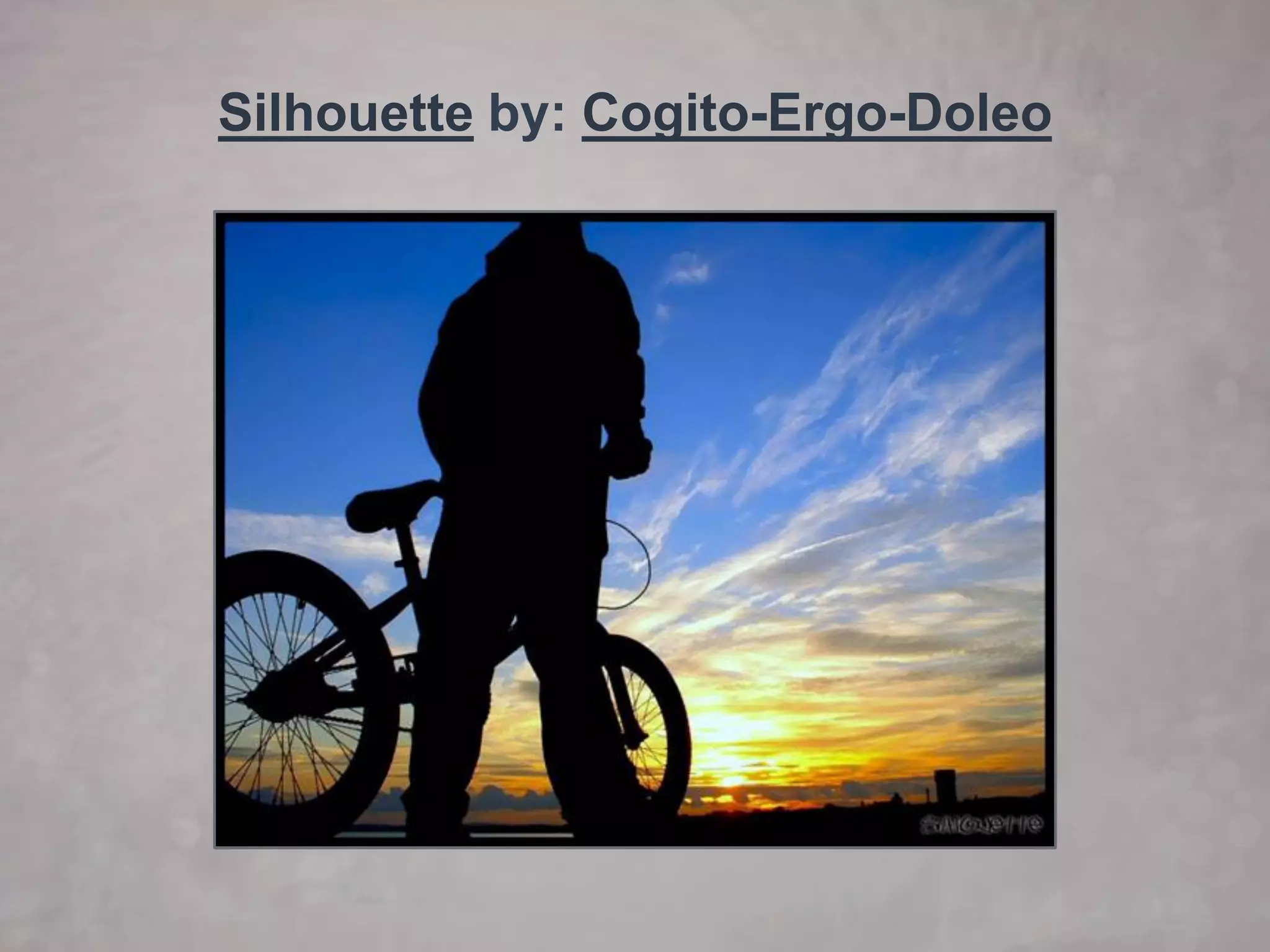 60 Beautiful Examples of Silhouette Photography | PDF