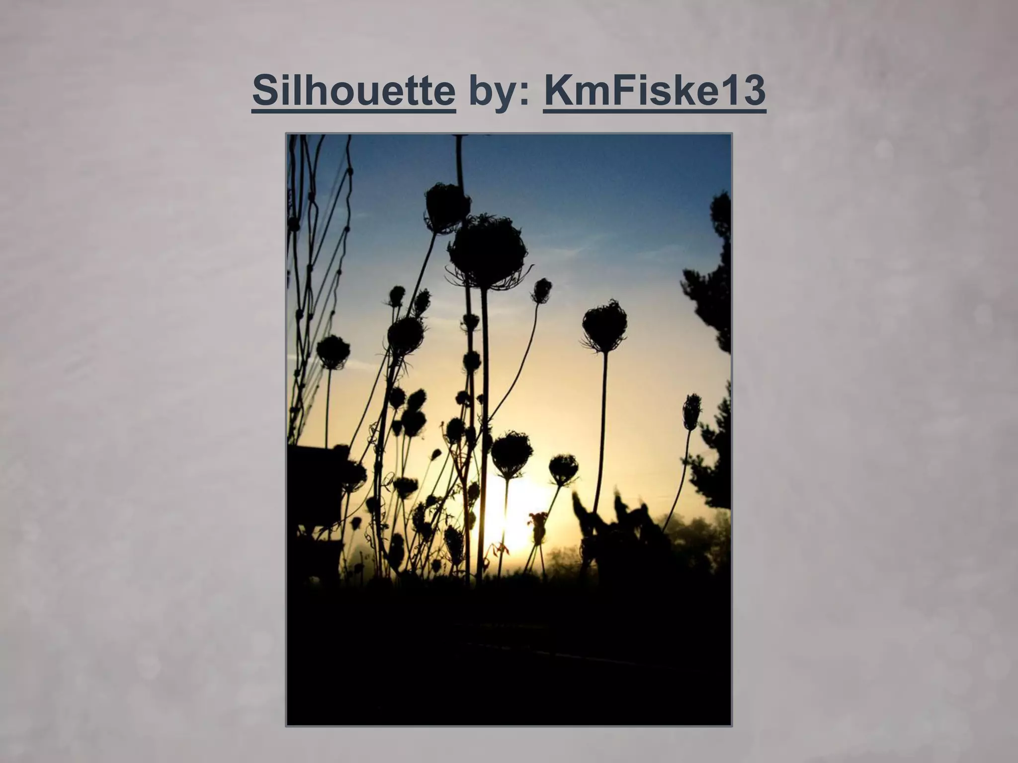 60 Beautiful Examples of Silhouette Photography | PDF