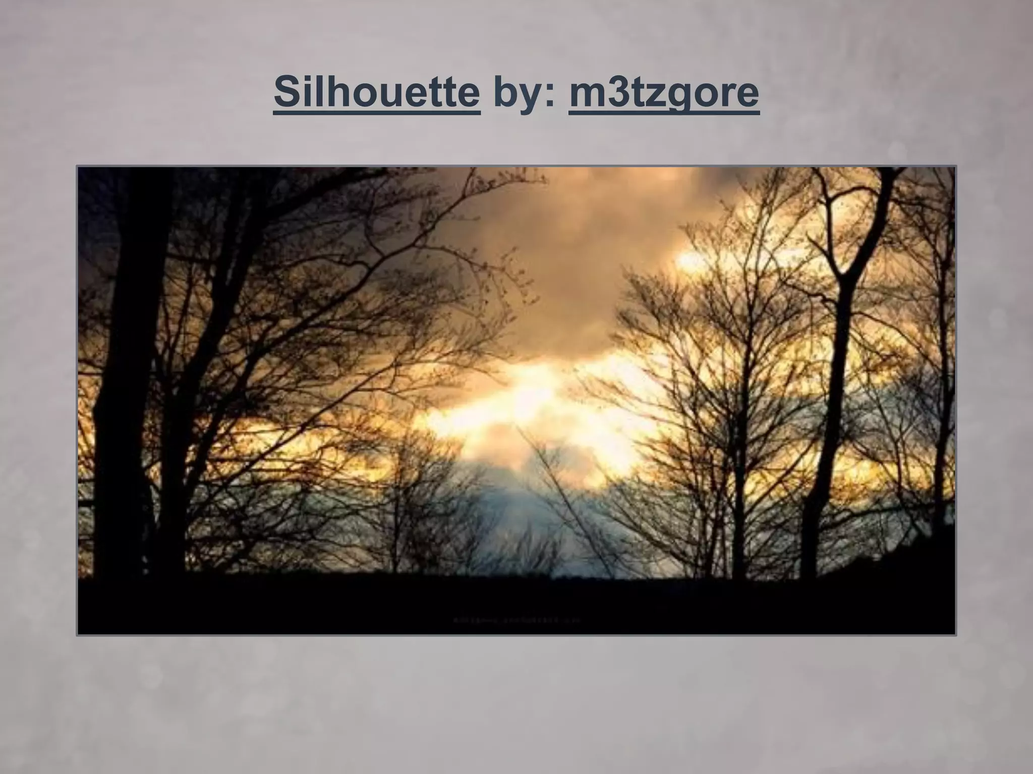 60 Beautiful Examples of Silhouette Photography | PDF