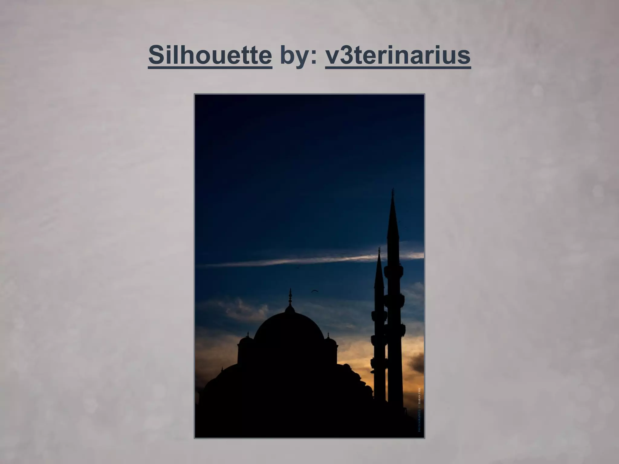60 Beautiful Examples of Silhouette Photography | PDF