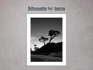 60 Beautiful Examples of Silhouette Photography | PDF