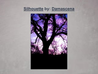 60 Beautiful Examples of Silhouette Photography | PDF