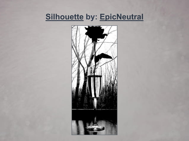 60 Beautiful Examples of Silhouette Photography | PDF | Photography ...