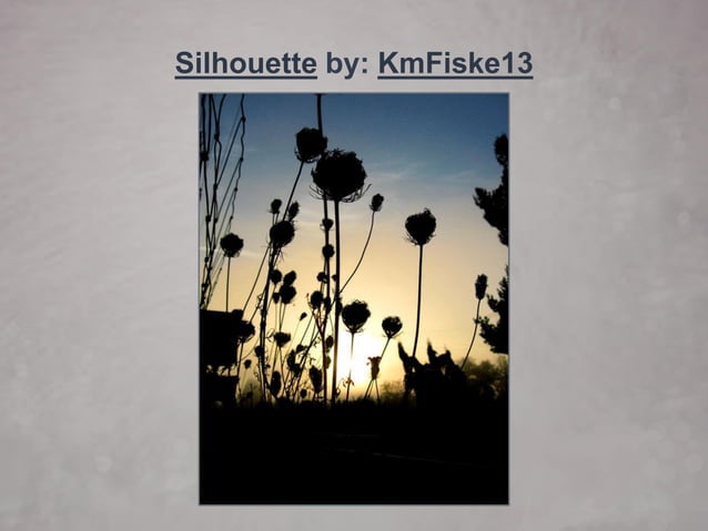 60 Beautiful Examples of Silhouette Photography | PDF | Photography ...