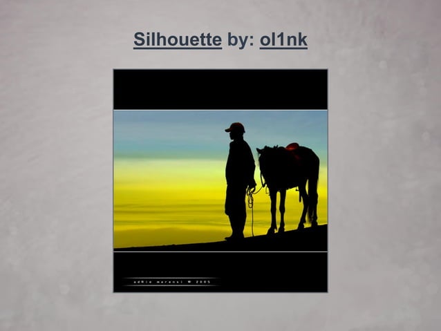 60 Beautiful Examples of Silhouette Photography | PDF | Photography ...