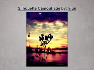 60 Beautiful Examples of Silhouette Photography | PDF