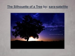 60 Beautiful Examples of Silhouette Photography | PDF