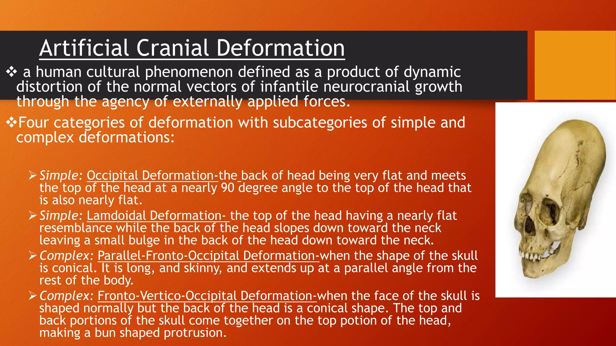 Cranial Deformations of Native Peoples of North America | PPTX