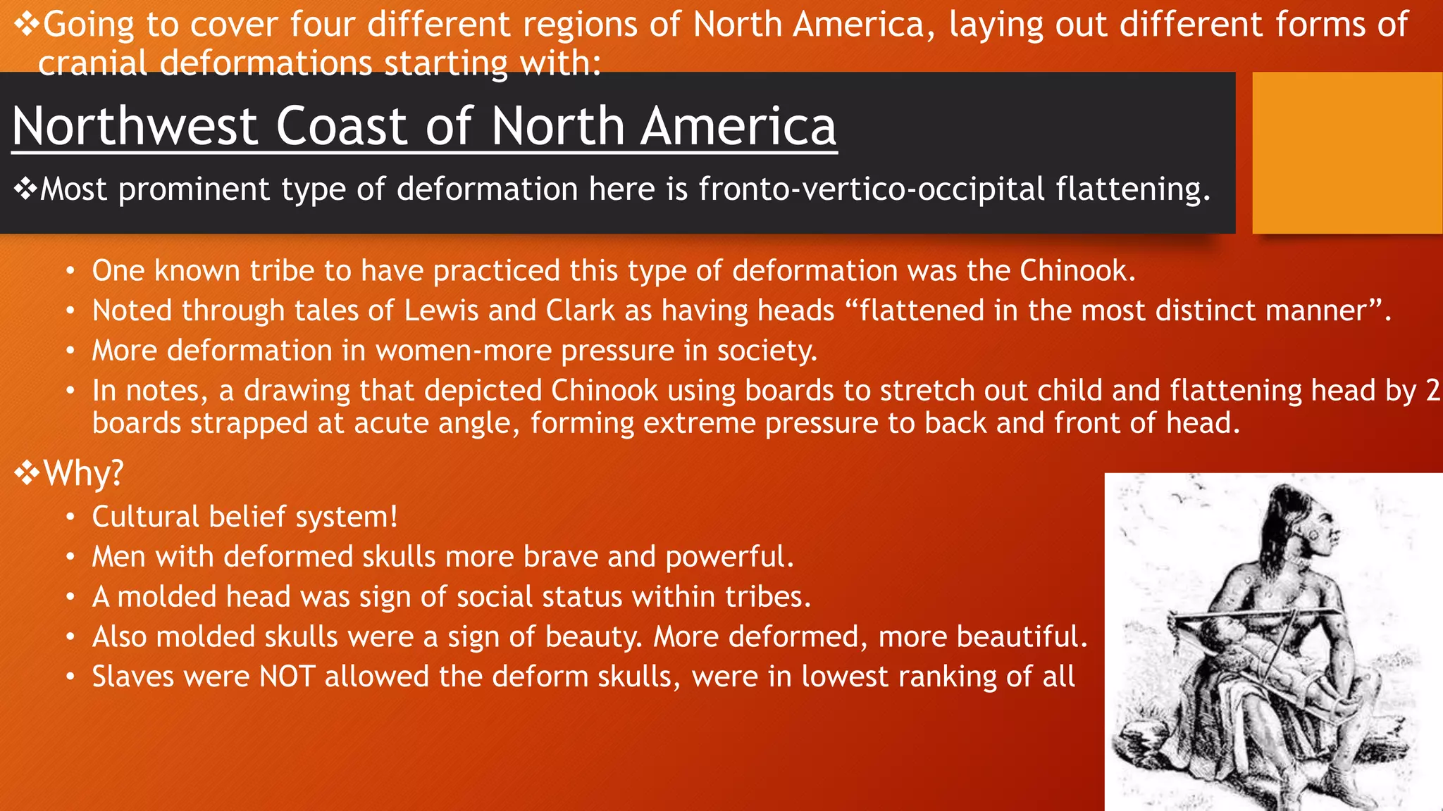 Cranial Deformations of Native Peoples of North America | PPTX