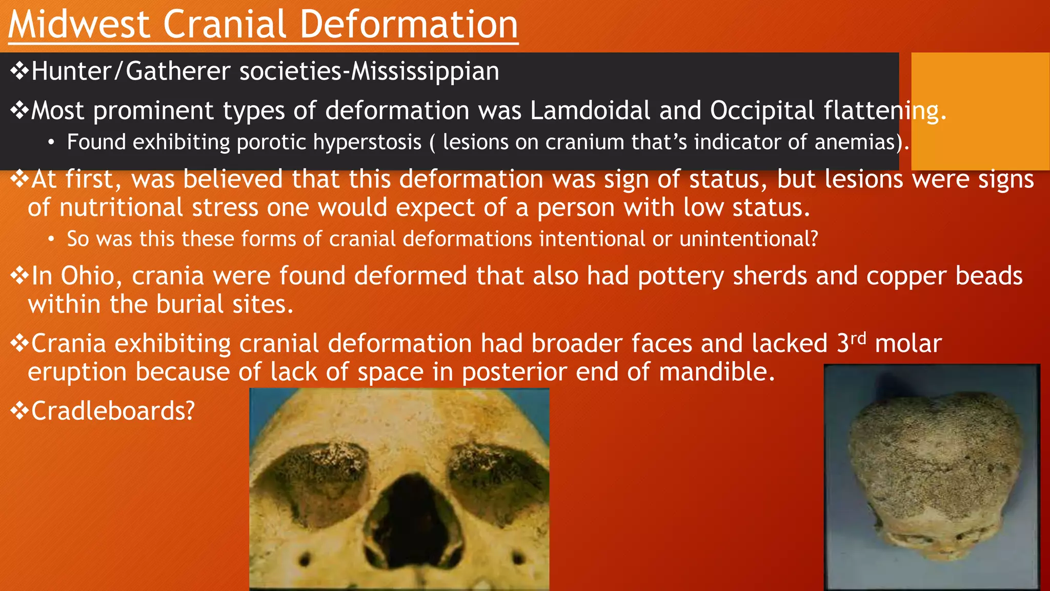 Cranial Deformations of Native Peoples of North America | PPTX