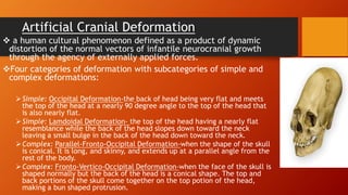 Cranial Deformations of Native Peoples of North America | PPTX