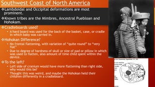 Cranial Deformations of Native Peoples of North America | PPTX