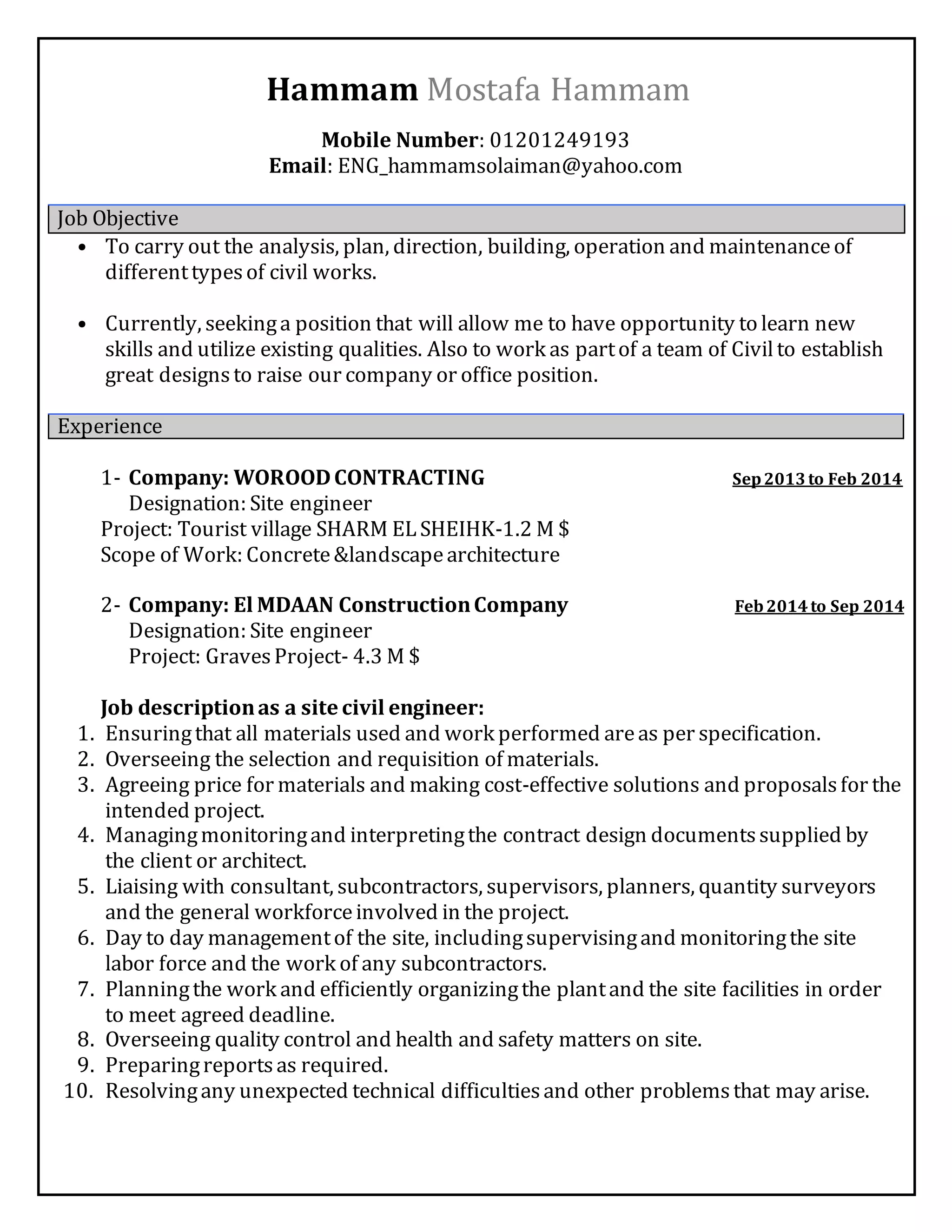 Hammam Mostafa CV 2015 - Copy | DOCX