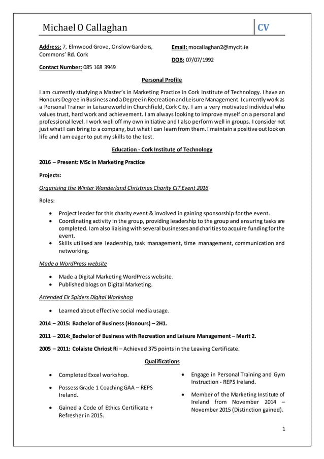 Michael's CV ELS | DOCX | Business Administration | Business