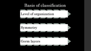 Animal Kingdom Lecture Notes.ppt BIOLOGY NOTES | PPTX