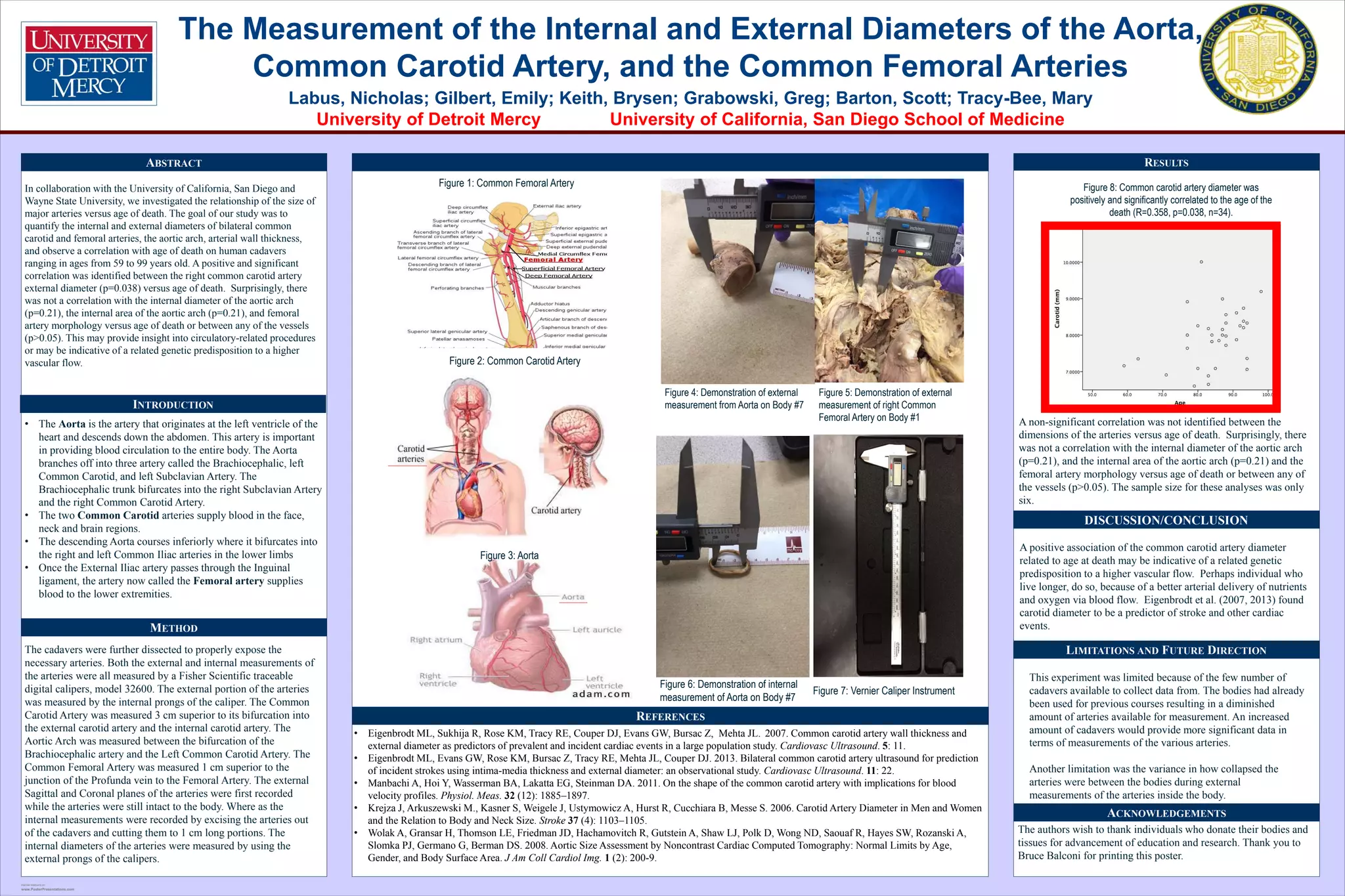 Artery_Research_Poster_Final_PPTX-2 | PPT