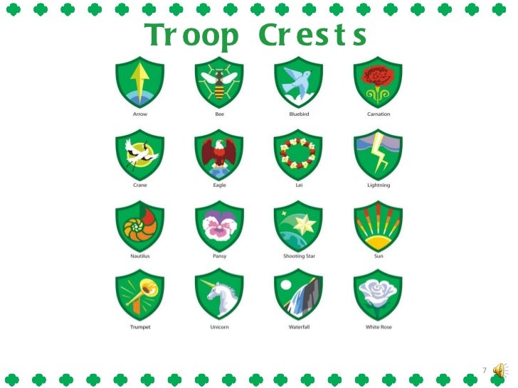 Your Guide to the Girl's Guide to Girl Scouting