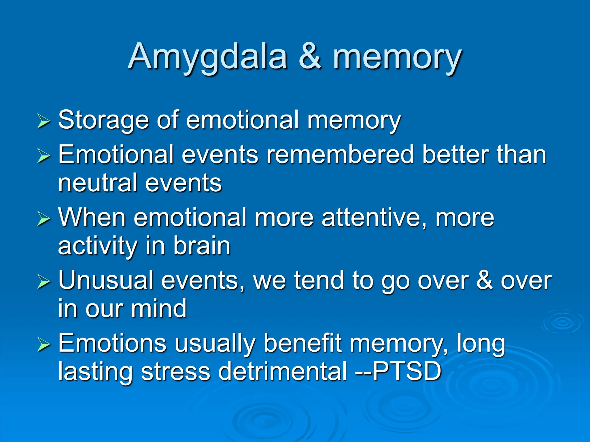 60)NEUROBIOLOGY_OF_MEMORY[1].pptx