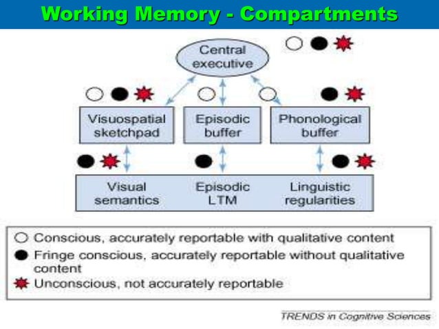 60)NEUROBIOLOGY_OF_MEMORY[1].pptx | Brain and Nervous System Disorders ...