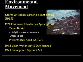 60s Culture & Movements | PPT