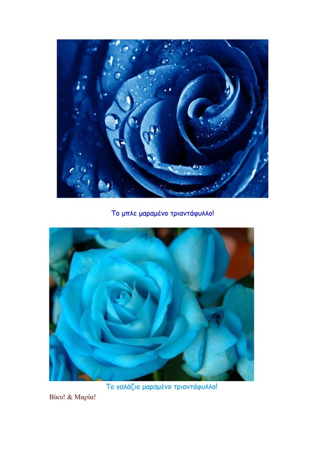 απαντησεις στο 6ο φυλλο εργασιας ο μυστρας τμήμα ε1 | DOC