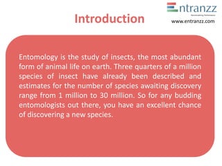 61.careers in entomology | PPTX