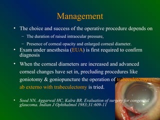 Congenital Glaucoma | PPT