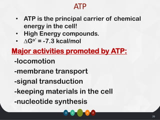 Biological oxidation Bioenergetics and general concepts (part - I) | PDF