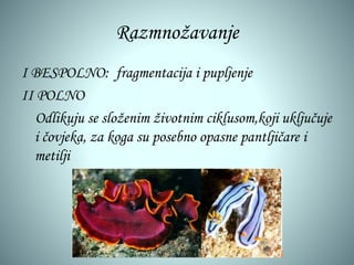 61. i 62. nastavna jedinica | PPT