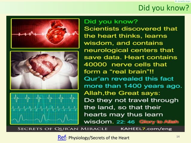 Al Quran (Chapter 61): Surah As Saff [The Ranks] | PDF