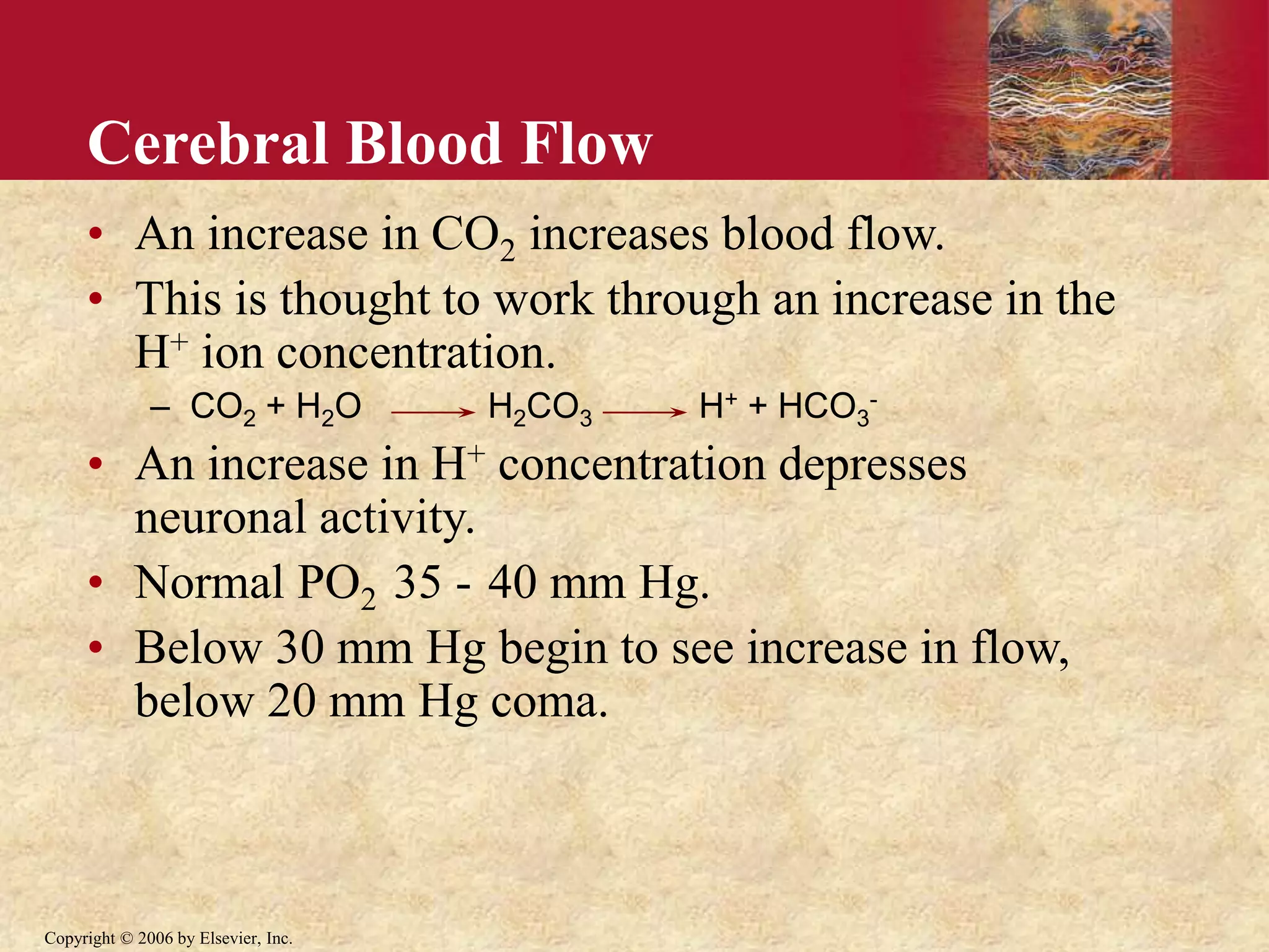 61.Cerebral blood flow, the cerebrospinal fluid and brain me.ppt