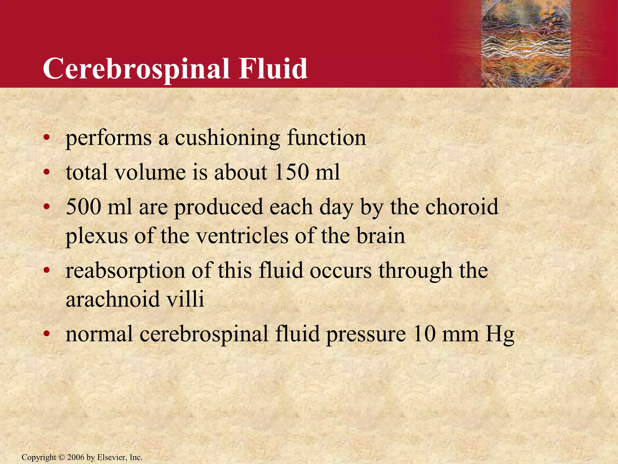 61.Cerebral blood flow, the cerebrospinal fluid and brain me.ppt